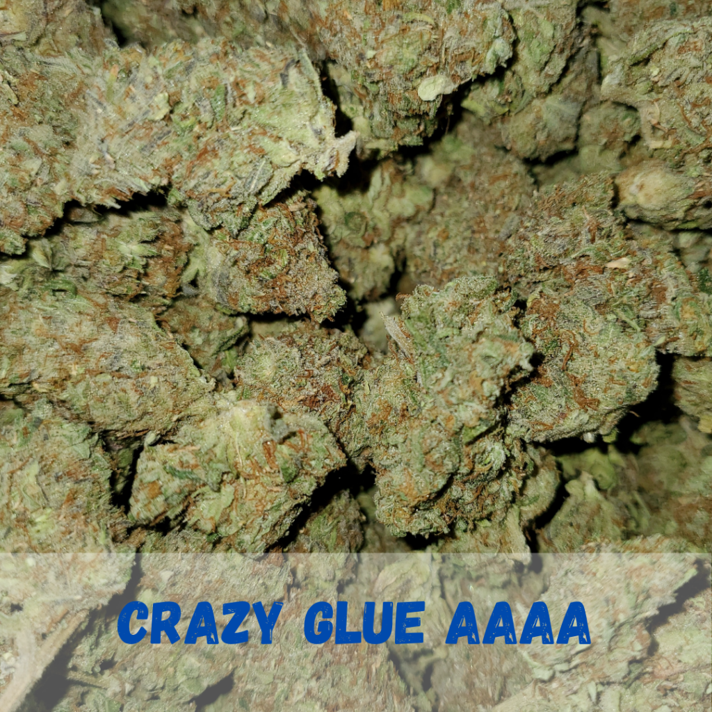 Buy Crazy Glue Aaaa 23 Thc Cannabis Online In Canada Local Delivery Available