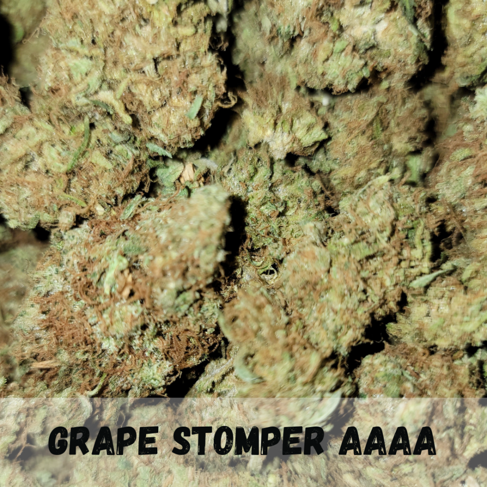 Buy Grape Stomper AAAA (24% THC) Cannabis Online in Canada Local ...