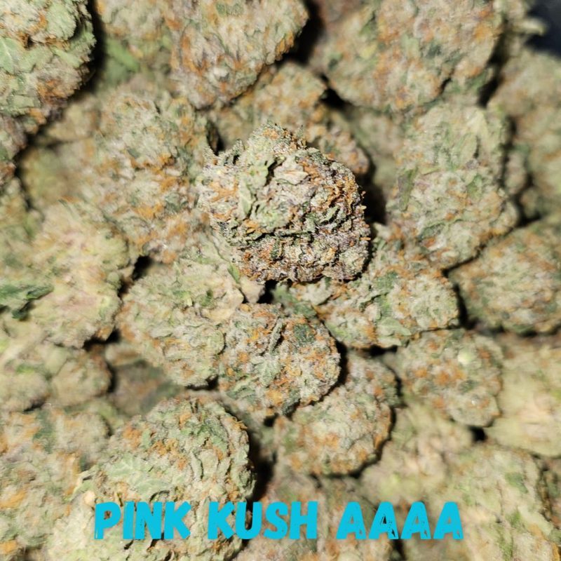 Buy Pink Kush AAAA+ (27% THC) Cannabis Online in Canada Local Delivery ...